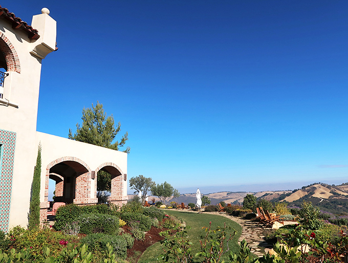 Those rolling hills! DAOU's panoramic views make every sip taste better. Wine with a side of infinity.