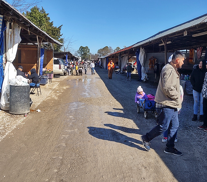 The monthly market brings people together under covered areas where browsing becomes a social event with friendly conversations.