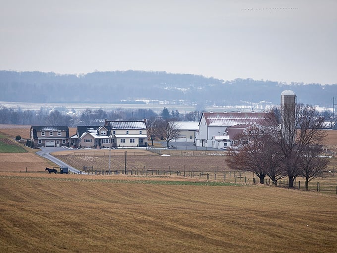 Winter in Gordonville reveals the bones of the landscape, where Amish buggies still traverse roads regardless of modern conveniences or weather.