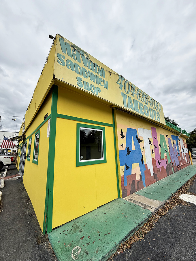 Palm fronds and bright colors make Havana Sandwich Shop a Buford Highway landmark. That Cuban sandwich press has been working overtime creating crispy, melty magic.
