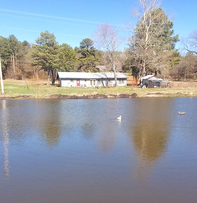 The Poteau River Valley provides a perfect backdrop for pondering historical mysteries while enjoying peaceful forest scenery.