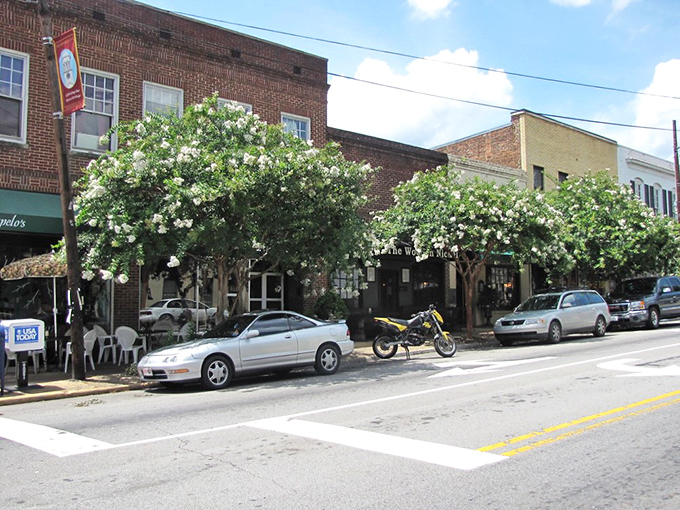Hillsborough's main street, where flowering trees and historic buildings create the perfect small-town tableau.