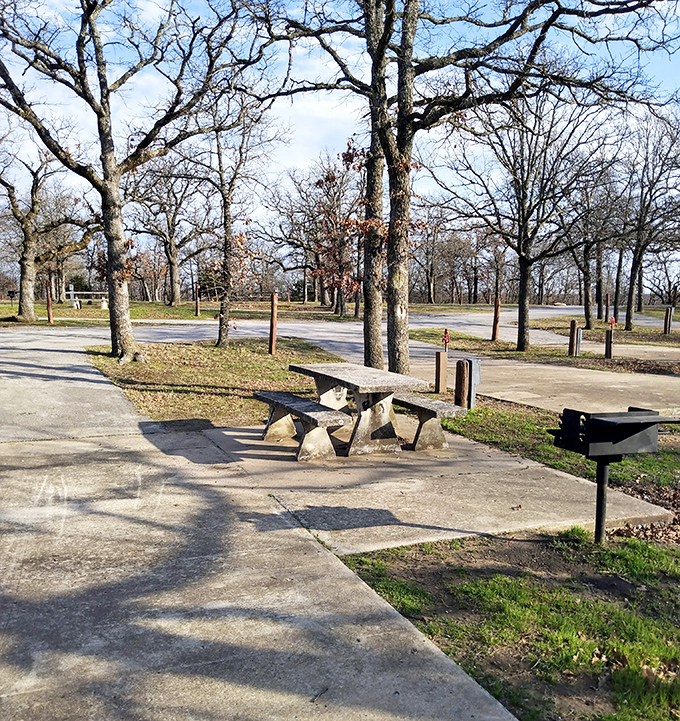 Simple picnic spots under spreading oaks remind us that life's best moments need minimal staging.