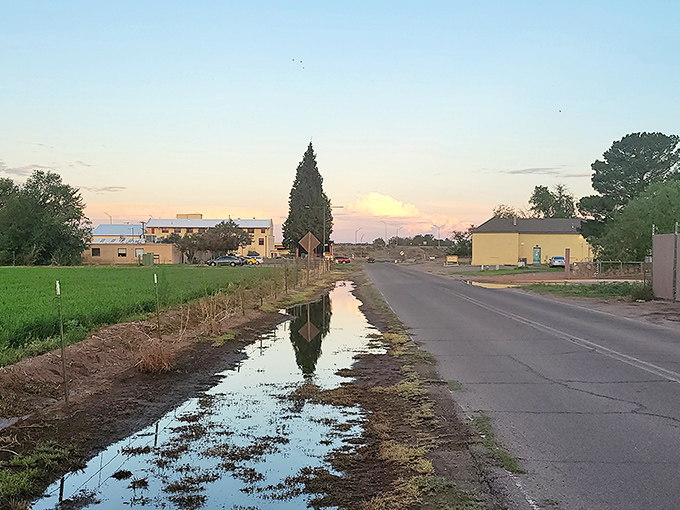 There&rsquo;s something quietly poetic about a rural road after rain &mdash; the world pauses, just long enough to admire itself.