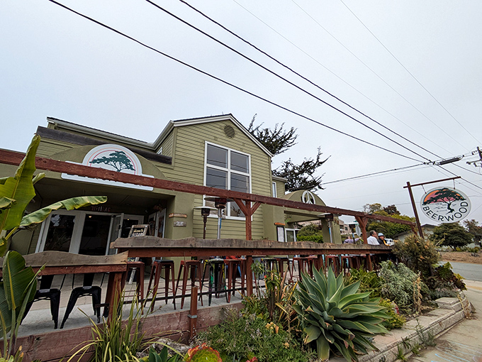 This Los Osos café looks like the perfect spot to sip something warm while watching the fog dance. The plants are practically waving hello.