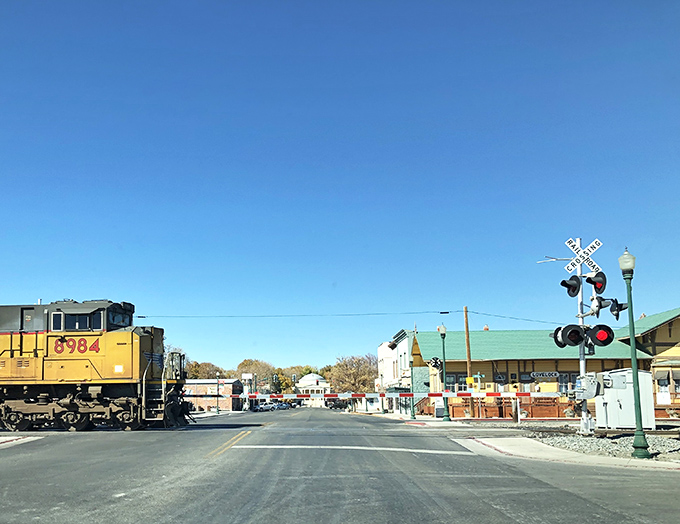 The courthouse stands proud downtown, anchoring a community where everyone knows the best shortcuts through town.