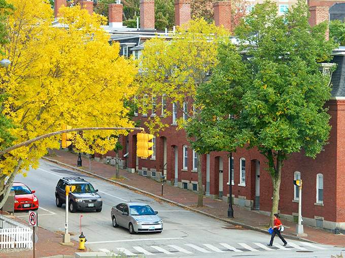 These tree-lined residential streets burst with golden autumn colors, creating picture-perfect neighborhoods for comfortable retirement living.