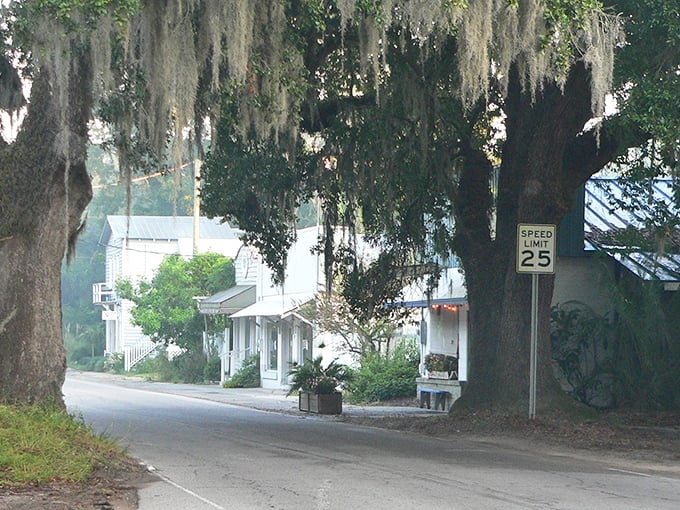 Oak trees create a natural canopy over McClellanville's quiet streets. The 25 mph speed limit seems almost unnecessary&mdash;who would rush through paradise?