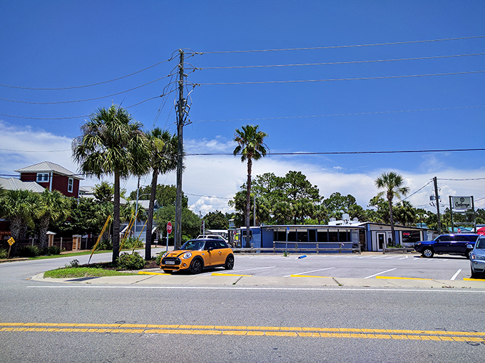 Palm trees line Mexico Beach's main road &ndash; where paradise and affordability shake hands while your Social Security check applauds.Add to Conversation