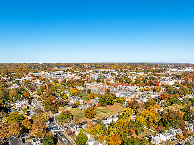 Newark's autumn canopy creates a vibrant college town atmosphere where retirees feel forever young.