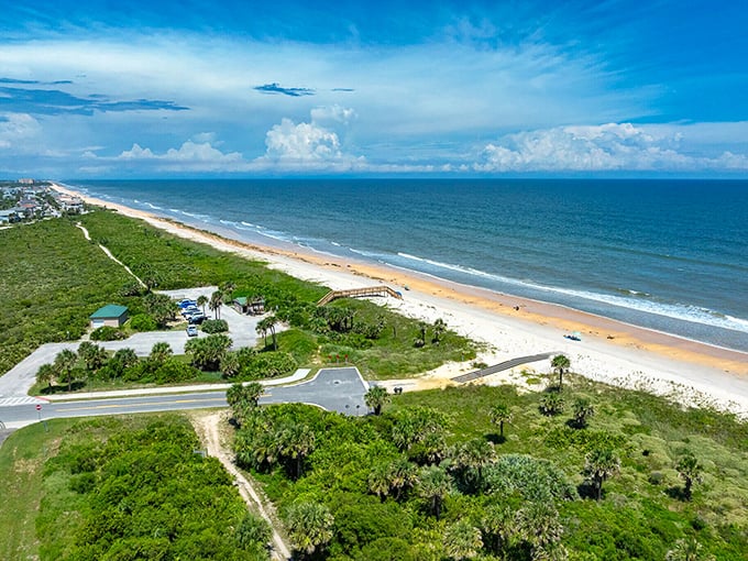Flagler Beach shows off its wild side &ndash; untamed, uncrowded, and utterly gorgeous on any given Tuesday.
