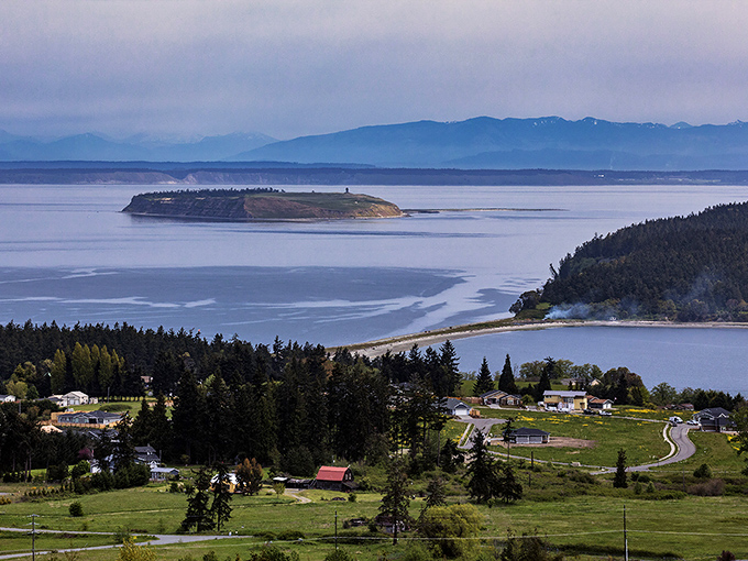 Dungeness Spit creates nature's own masterpiece where land meets sea in perfect harmony.