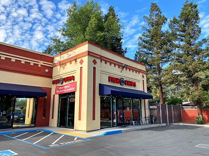 Primary colors and simple signage announce Shark Boy's no-nonsense approach. Inside those doors, fish and chips are serious business&mdash;seriously delicious, that is.