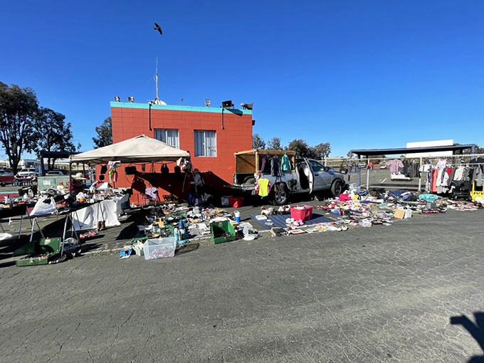 Organized chaos spreads across asphalt where one person's clutter becomes another's perfect home decor.