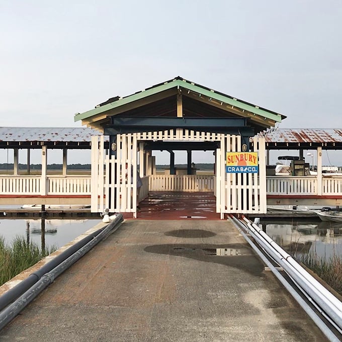 Ocean views and fresh catches combine where Georgia&rsquo;s coastal beauty enhances every meal.