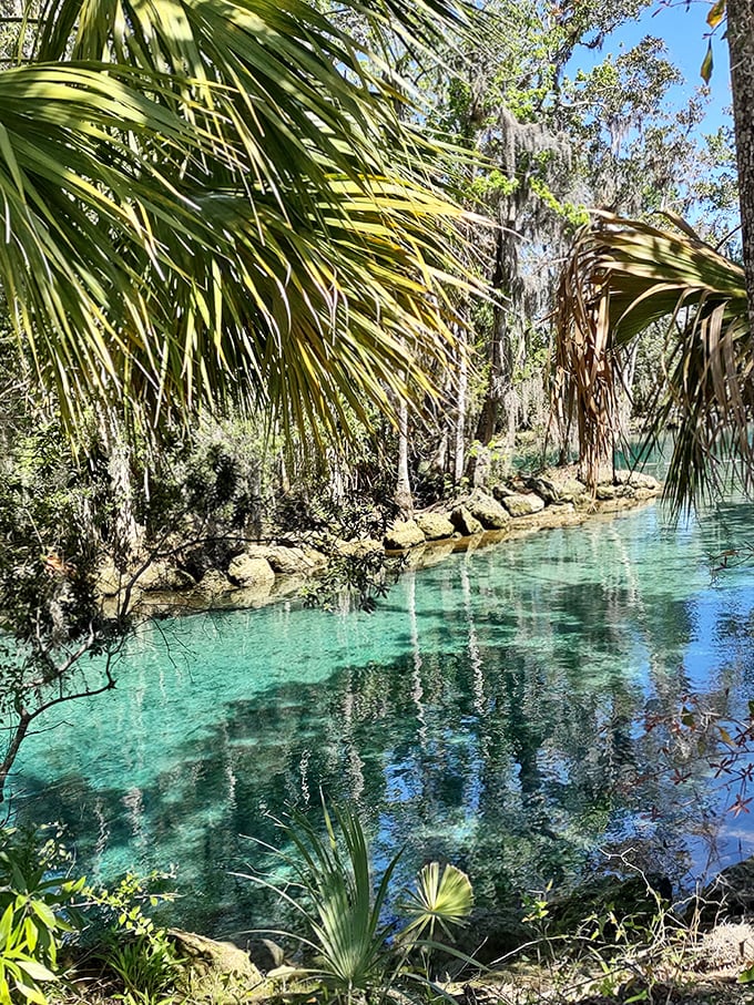 Nature's perfect frame! This leaning tree seems to say, "Look at this view&mdash;I've been enjoying it for a hundred years and it never gets old."