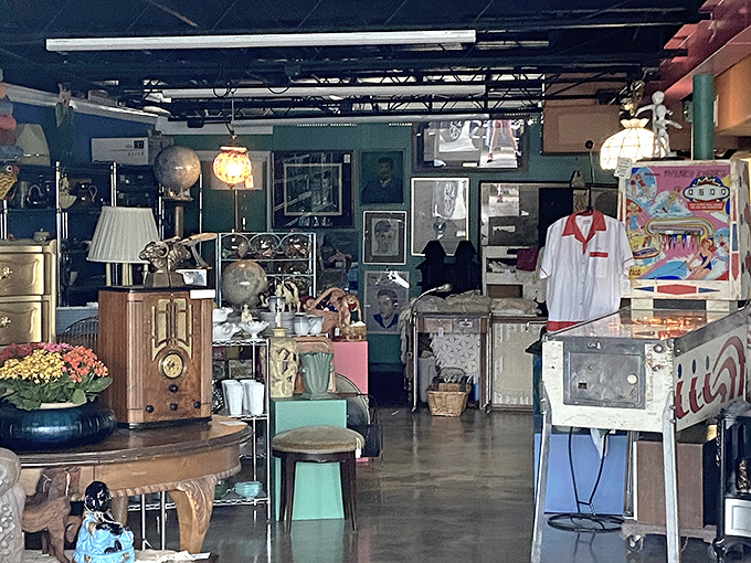 This isn't just thrift shopping &ndash; it's time travel through decades of fascinating household treasures.