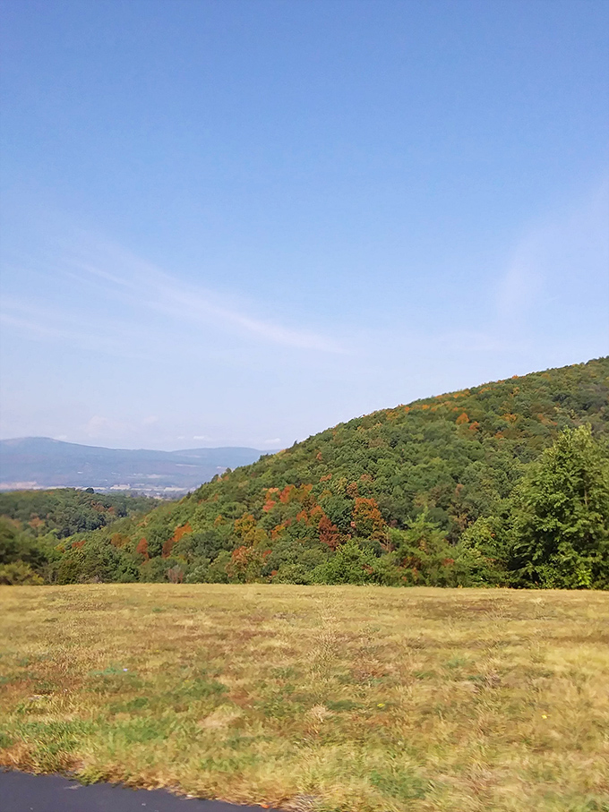 These rolling hills stretch toward distant horizons, creating views that change beautifully with every passing cloud above.