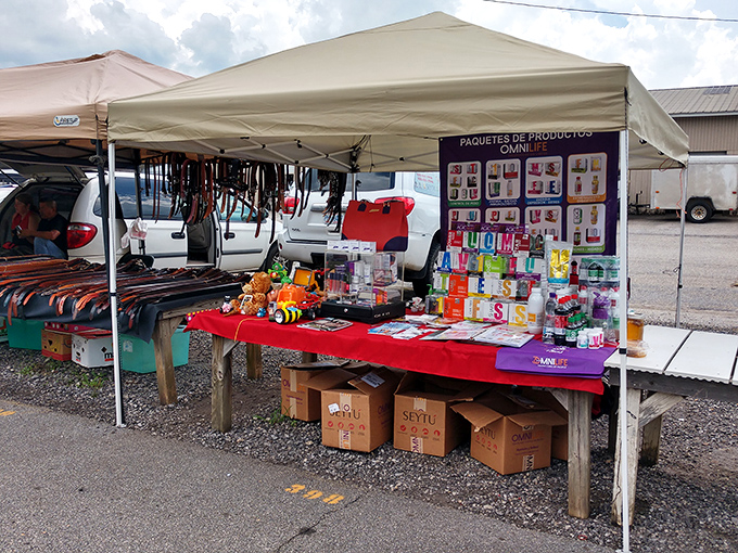The systematic layout and protective covering make this market perfect for methodical treasure hunters who appreciate organized browsing.