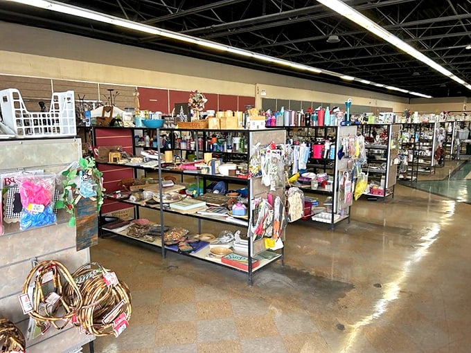 Every aisle offers a different category of possibility. It's like a department store where everything comes with a backstory.