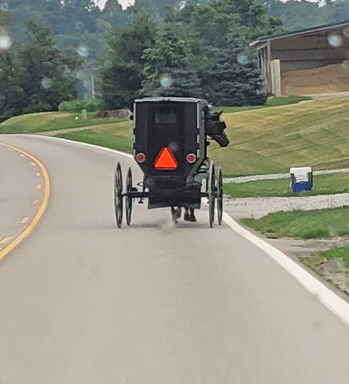 The iconic Amish buggy &ndash; where 19th-century transportation meets 21st-century safety features. That reflective orange triangle speaks volumes about practical adaptation.