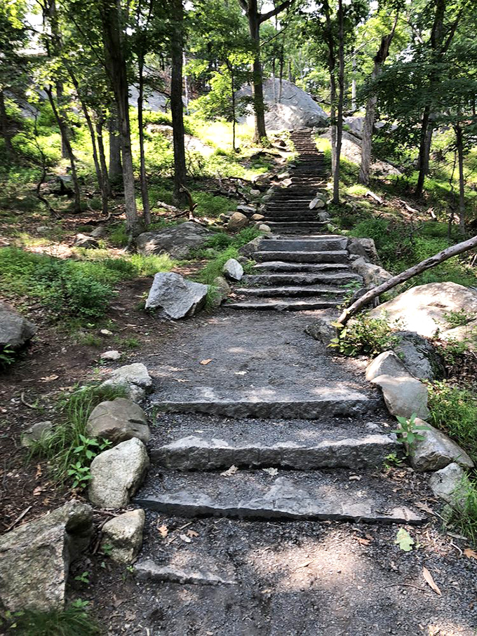 Stone steps that whisper "take it slow." The Appalachian Trail doesn't rush you&mdash;each carefully placed rock is an invitation to mindful walking.