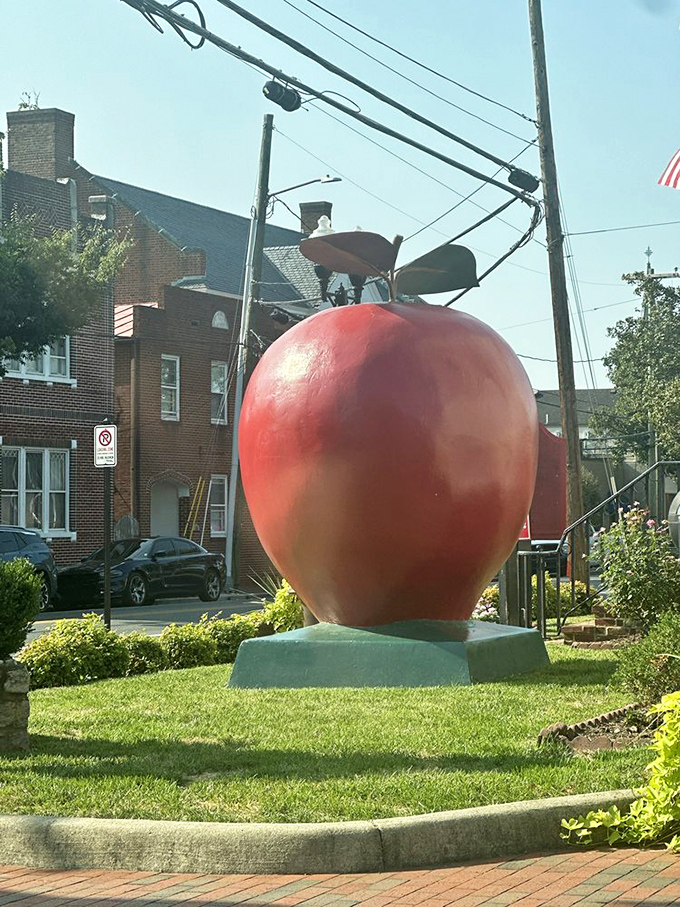 Nestled on its concrete pedestal, the apple adds a pop of color to the brick-paved streets of Old Town Winchester.