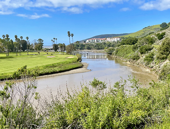 The Avila Beach Golf Resort seamlessly blends manicured greens with natural waterways, creating a golfer's paradise with a side of wildlife viewing.