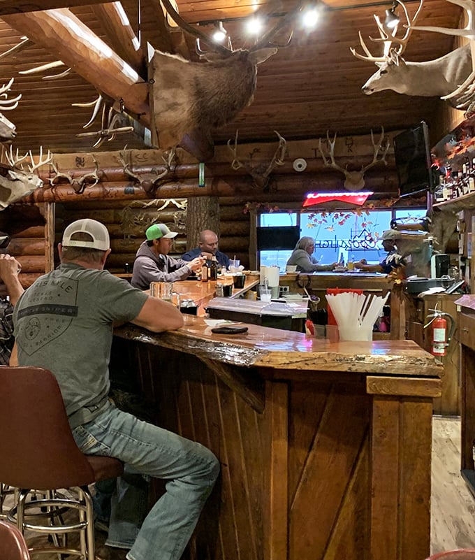 A bar so inviting, even teetotalers might be tempted. Where else can you sip cocktails under the watchful eyes of mounted wildlife?