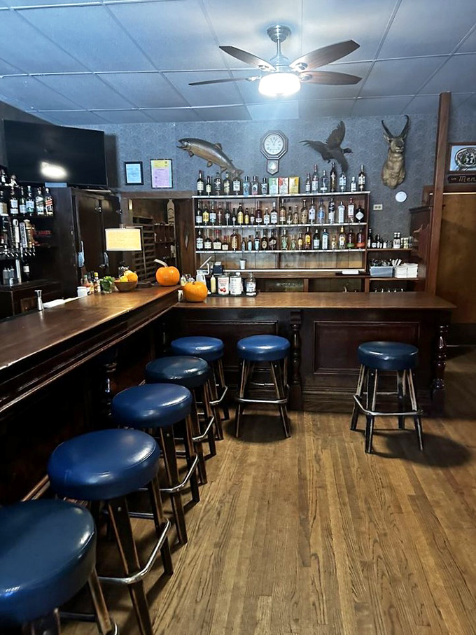 The bar area feels like it's been waiting for you all along, with blue stools that have supported decades of satisfied diners.