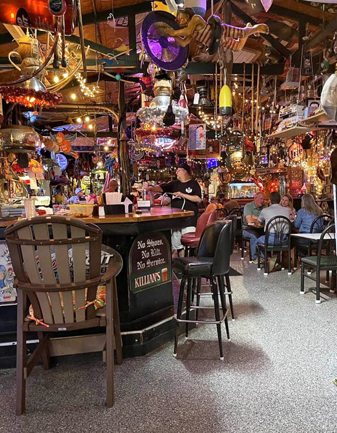 The bar area looks like it was decorated by someone who never met a fishing trophy they didn't like. Somehow, it all works perfectly.