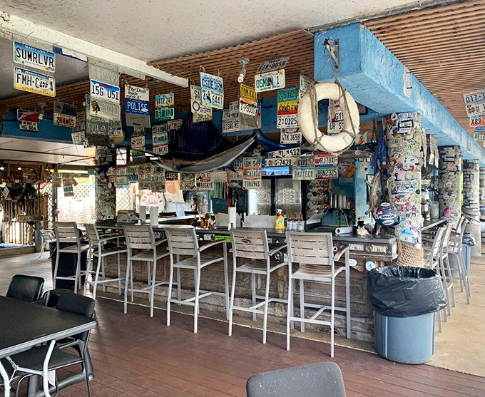 The bar area decorated with enough license plates to start your own DMV, but way more fun.