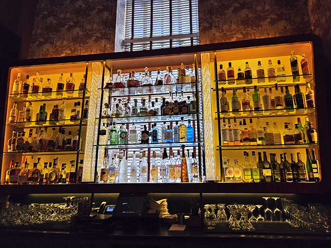 The bar's illuminated shelves showcase bottles like museum artifacts, except these treasures are meant to be enjoyed, not just admired.