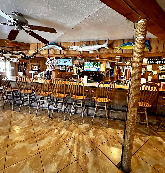 The bar area where fish tales get taller with each round, beneath the watchful gaze of mounted catches.