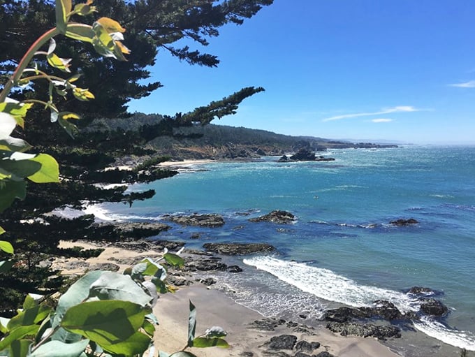 The Mendocino coastline delivers drama worthy of an HBO series, with crashing waves and rugged cliffs just minutes away.