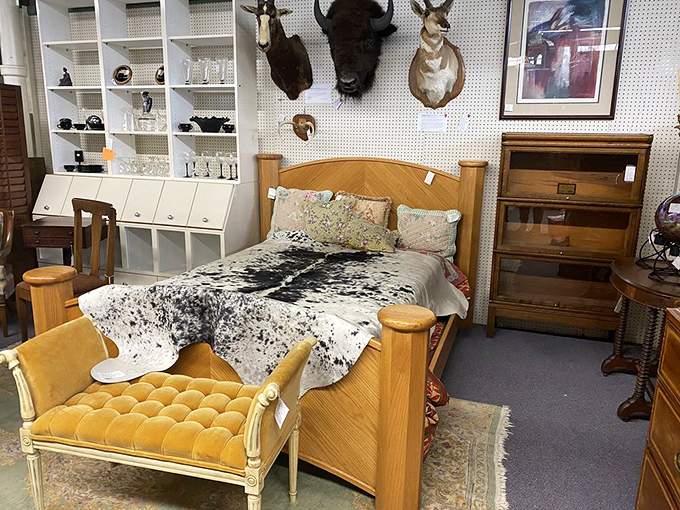 Bedroom sets that have witnessed decades of dreams, now waiting for their second act. The taxidermy audience seems impressed.