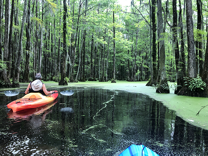 Kayaking through these cypress-studded waters feels like gliding through nature's cathedral&mdash;moss-draped and mysteriously green.