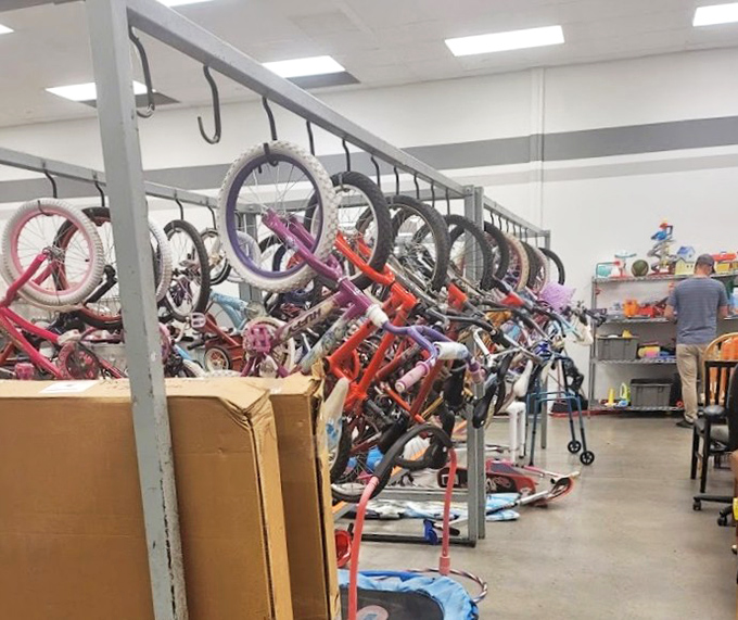 Bicycles hang like mechanical fruit, a colorful orchard of two-wheeled freedom machines waiting for new adventures on neighborhood streets and mountain trails.
