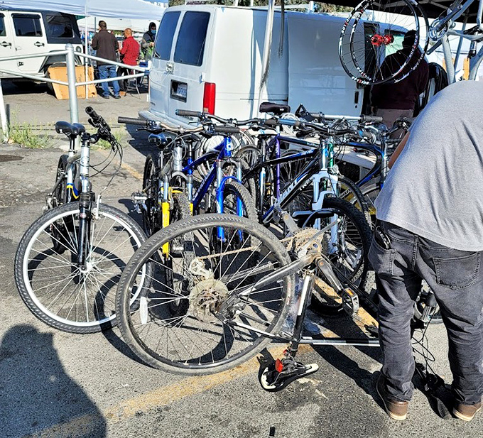 Bicycle bonanza for the mechanically inclined. In the land of $10,000 carbon fiber frames, these affordable rides offer transportation democracy.