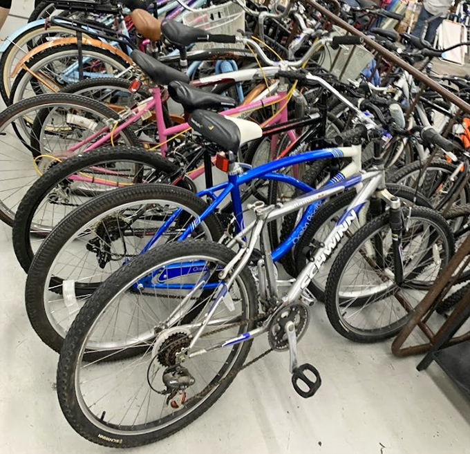 Bicycle battalion standing at attention&mdash;from beach cruisers to mountain bikes, all priced less than a week's worth of gas.