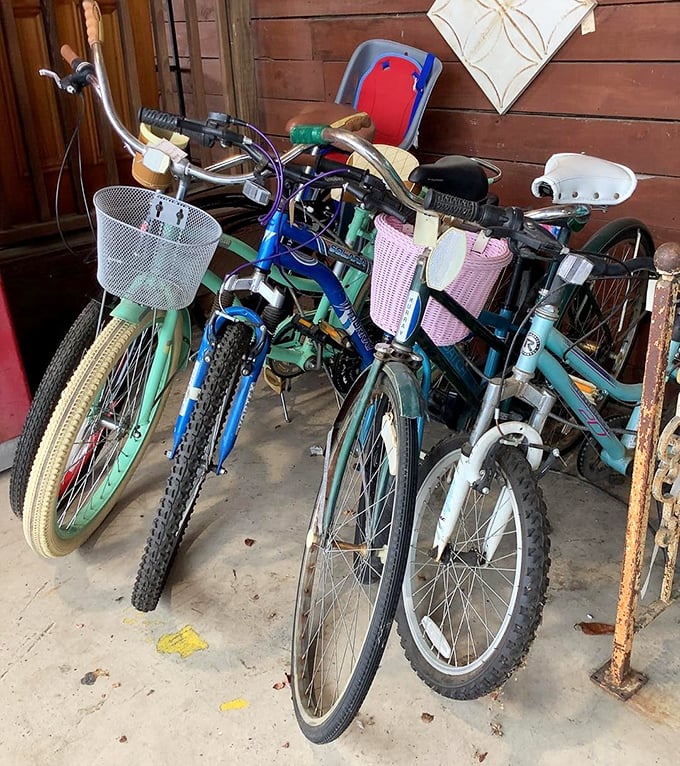 A fleet of pastel bicycles stands ready for new adventures &ndash; each basket waiting to carry picnic supplies or farmers market finds.