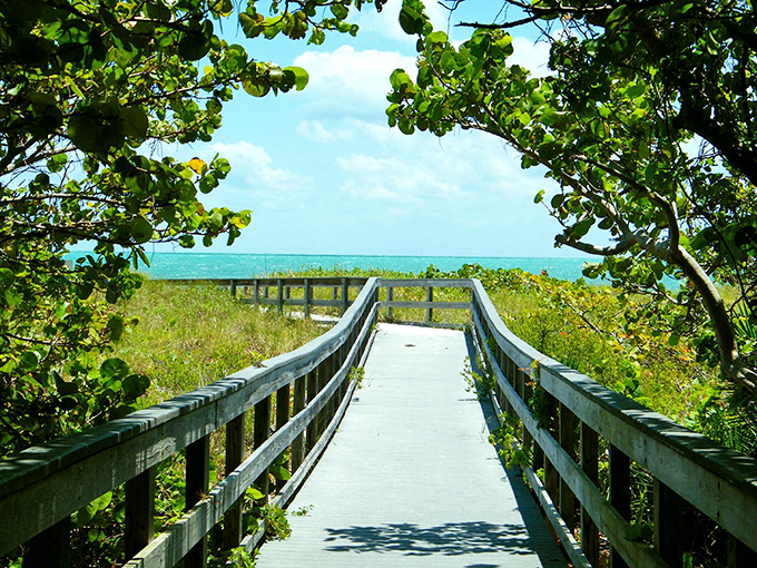 Nature creates its own perfect frame, guiding visitors along wooden pathways toward horizons that make smartphone cameras work overtime.