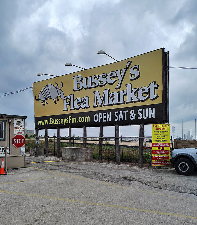 The yellow billboard stands like a beacon for bargain hunters, announcing weekend adventures with its armadillo ambassador.