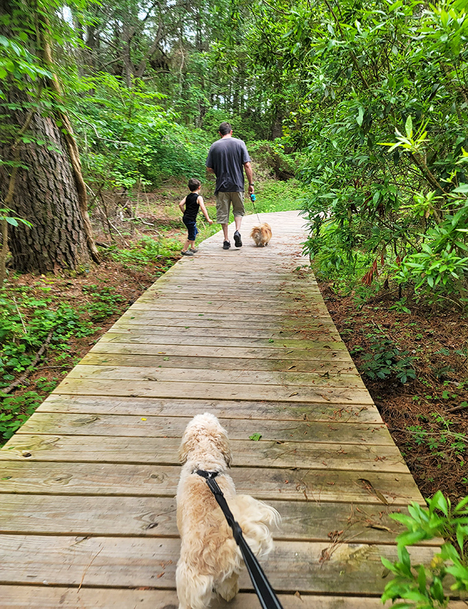 Family bonding, four-legged friend included! This wooden path proves the best conversations happen while walking side by side through nature.