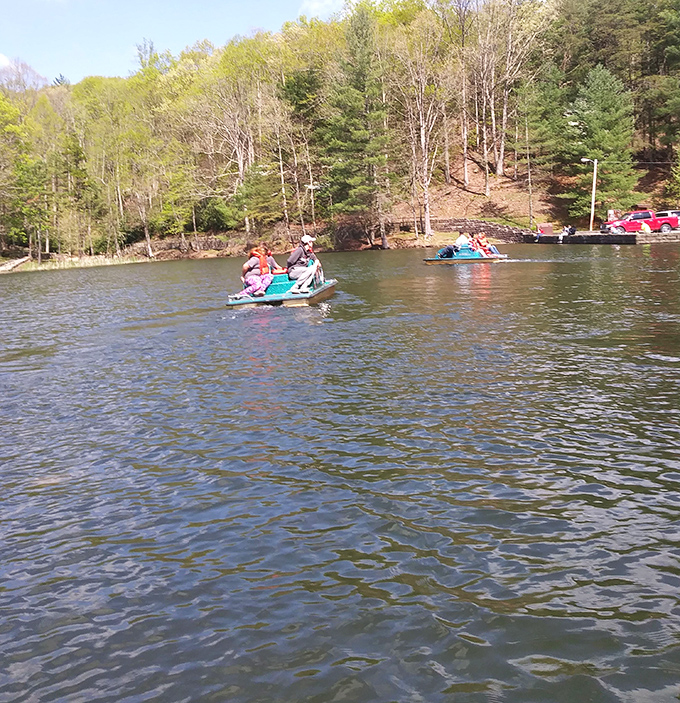 Paddle your way to serenity on the park's lake, where each stroke takes you deeper into Kentucky's natural splendor.
