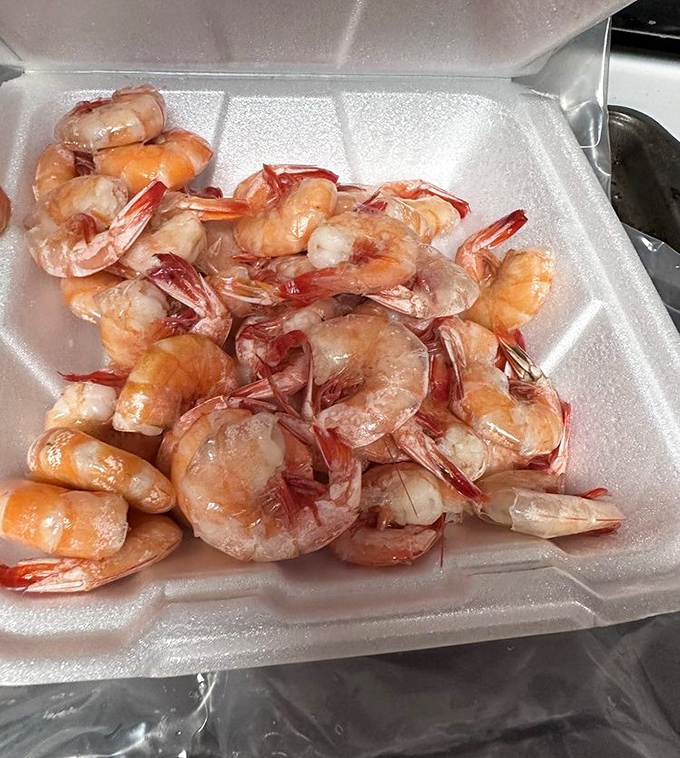 Boiled shrimp so plump and pink, they look like they're blushing from all the compliments they're about to receive.