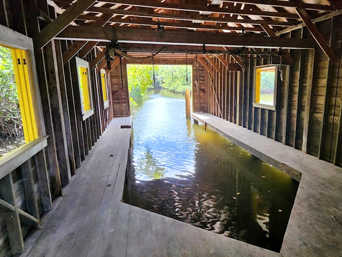 The boathouse offers a unique perspective&mdash;half shelter, half aquatic highway&mdash;where water flows directly through the structure into the mangroves beyond.
