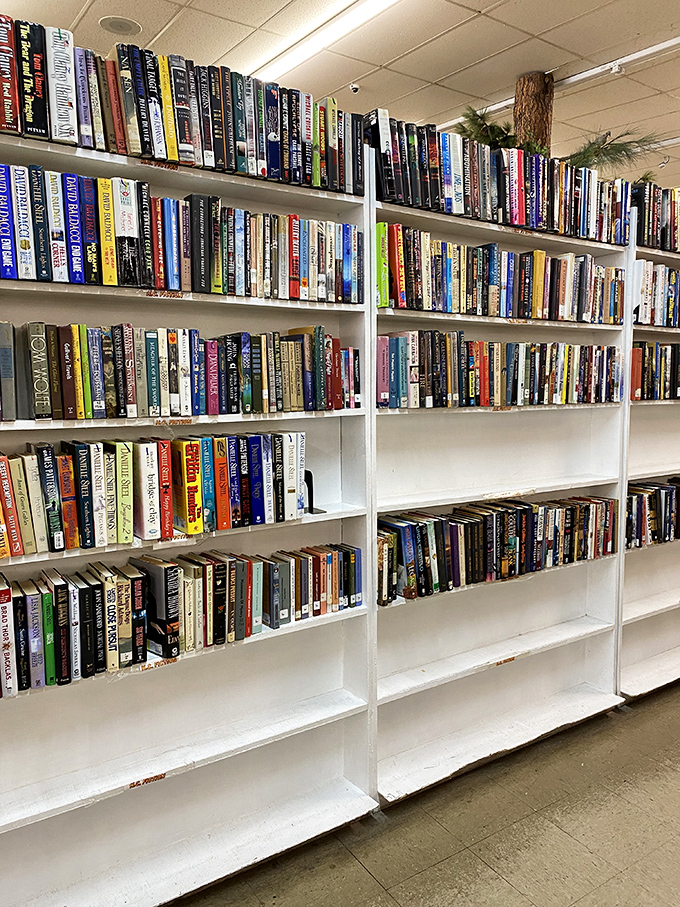 The book section rivals small-town libraries, with enough reading material to get you through several Missouri winters. Literary treasures await at pocket-change prices.