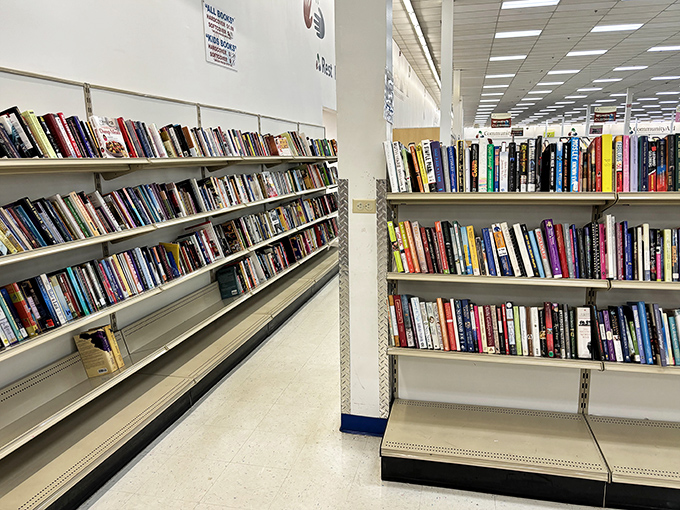 The book section rivals small-town libraries, offering literary journeys from bestsellers to obscure gems, all at page-turning prices.