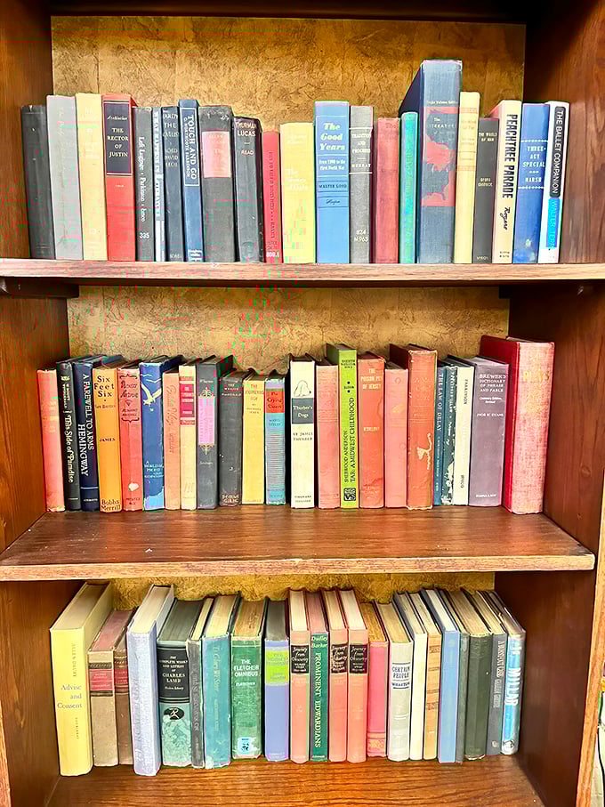 Each spine on these shelves represents someone's favorite story, waiting patiently for its next reader to discover.